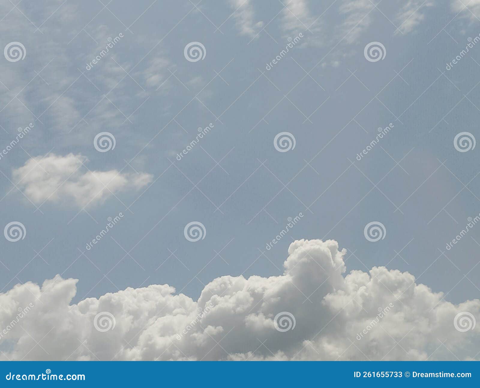 Nature Sora sky stock image. Image of flight, airplane - 261655733
