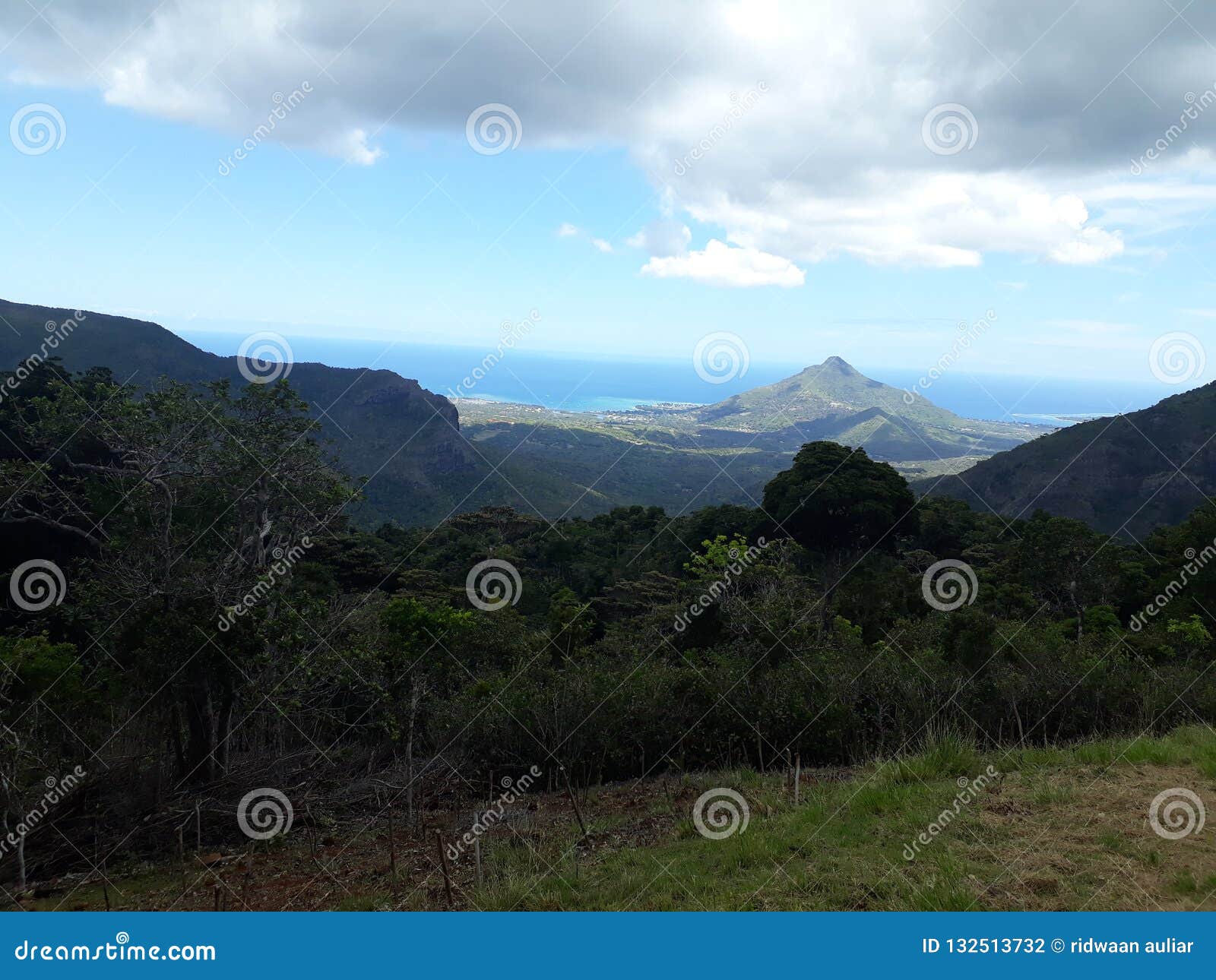 Nature stock photo. Image of nature, trees, mauritius - 132513732