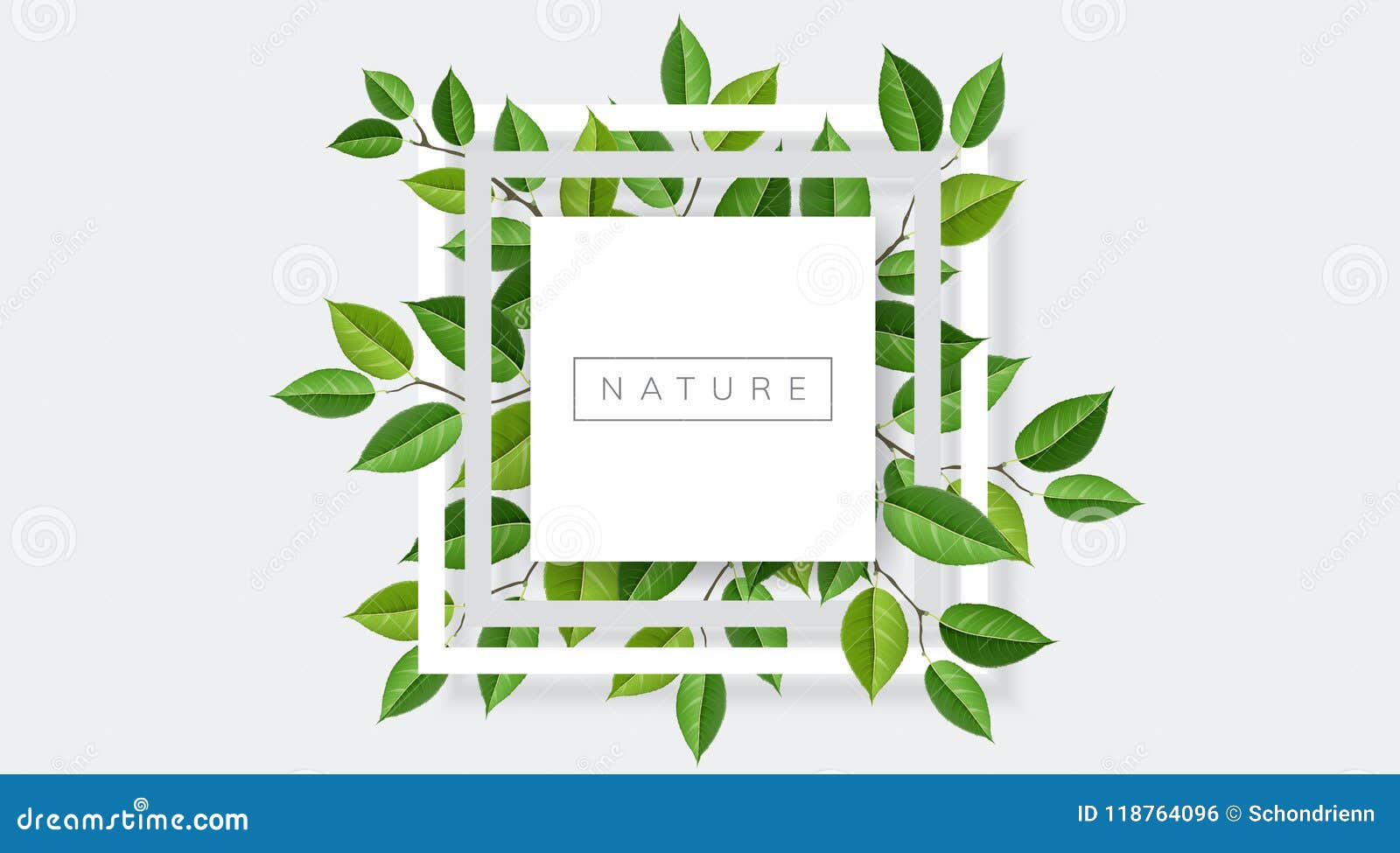 Nature Square Frame with Branches and Leaves Stock Vector ...