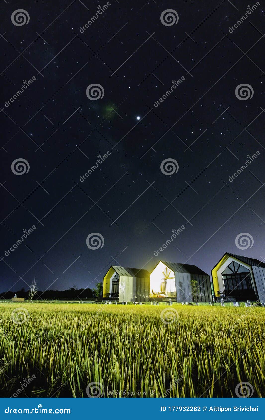 Nature stock photo. Image of night, milky, rice, nature - 177932282