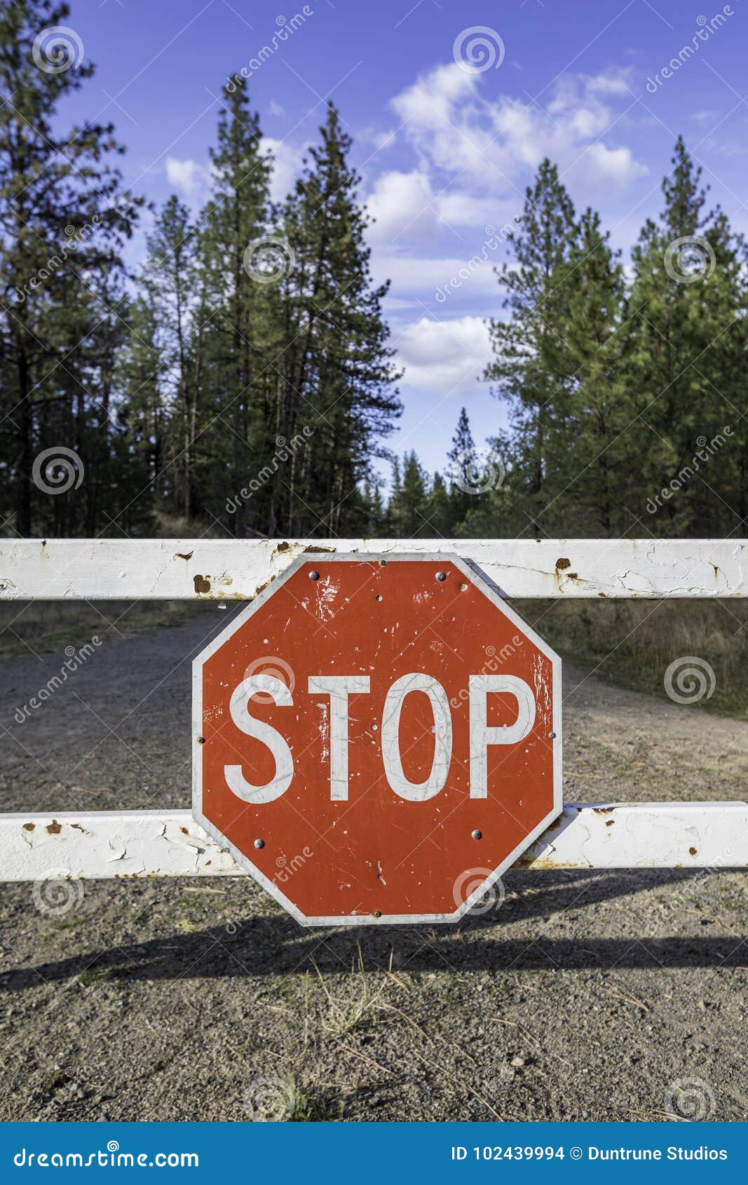 Nature Stop Sign stock photo. Image of landscape, security - 102439994