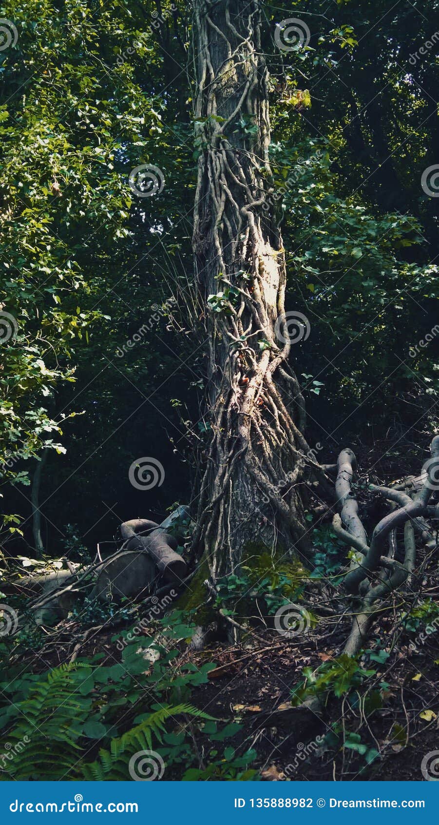 Strange Pictures Of Nature