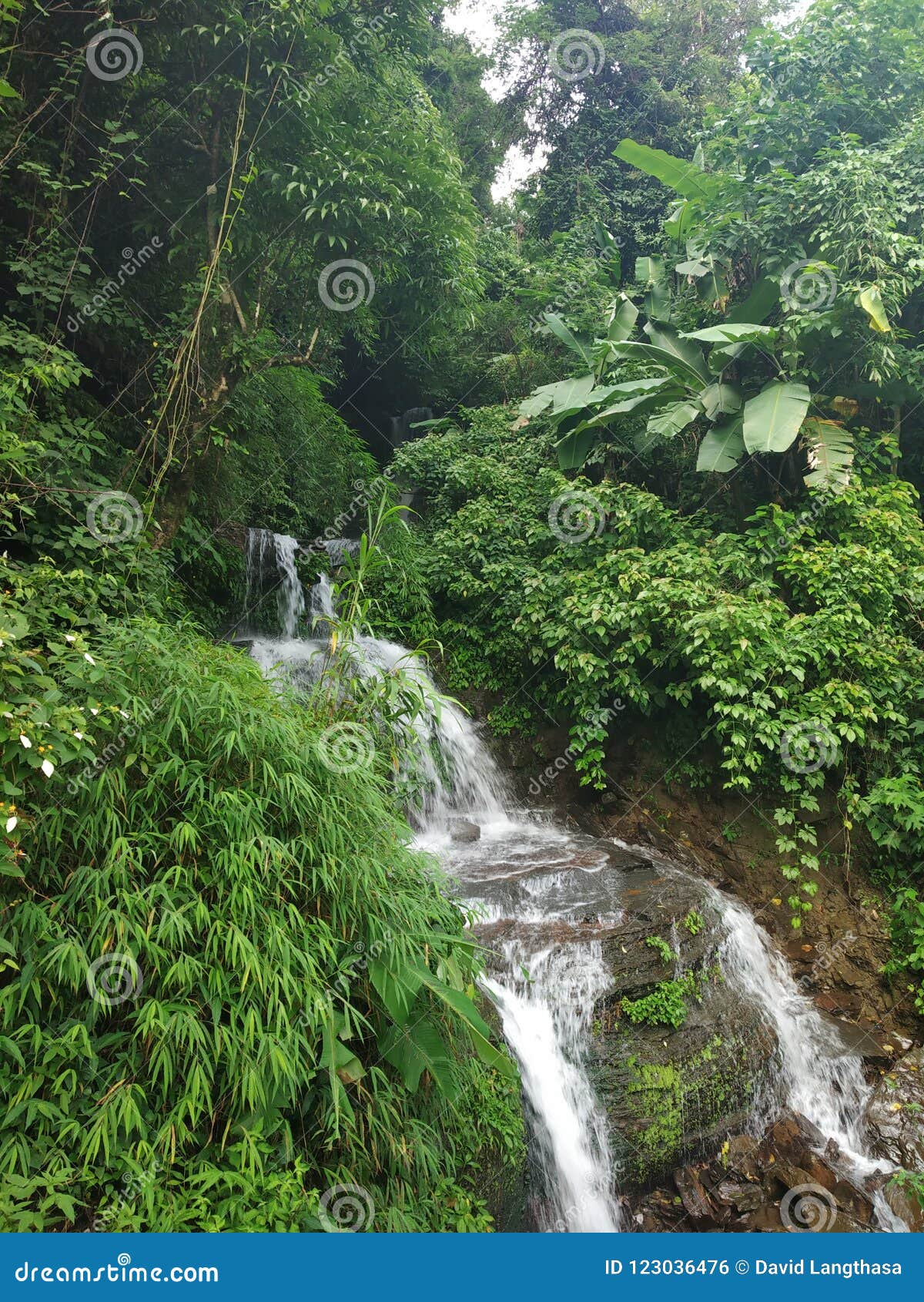 Nature stock photo. Image of looks, hills, stream, flowing - 123036476