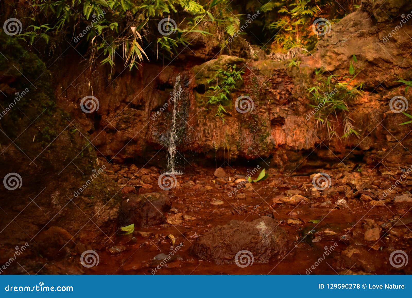 Nature stock photo. Image of fresh, running, nature - 129590278