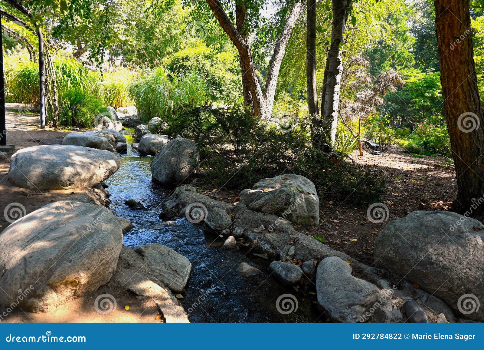 Nature with Stream Rocks and Trees Stock Photo - Image of nature, water ...