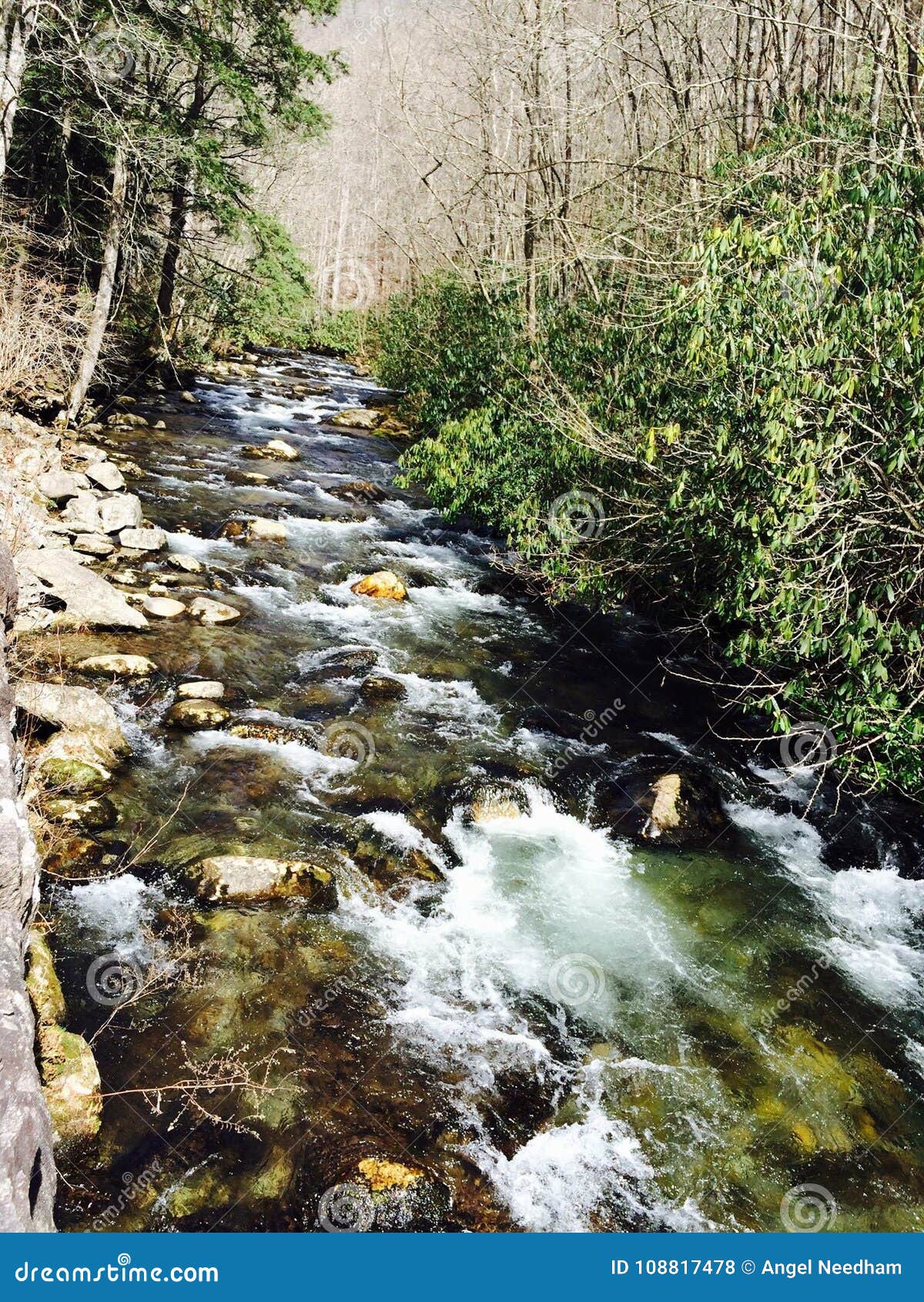 Nature stock photo. Image of rocks, stream, nature, water - 108817478