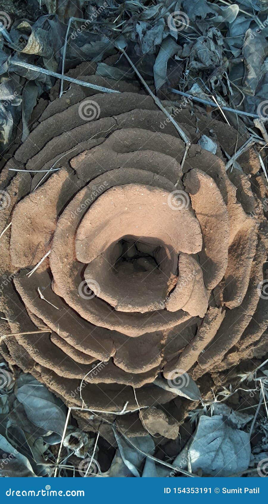 Nature Structure Pyramid Royalty-Free Stock Photography | CartoonDealer ...