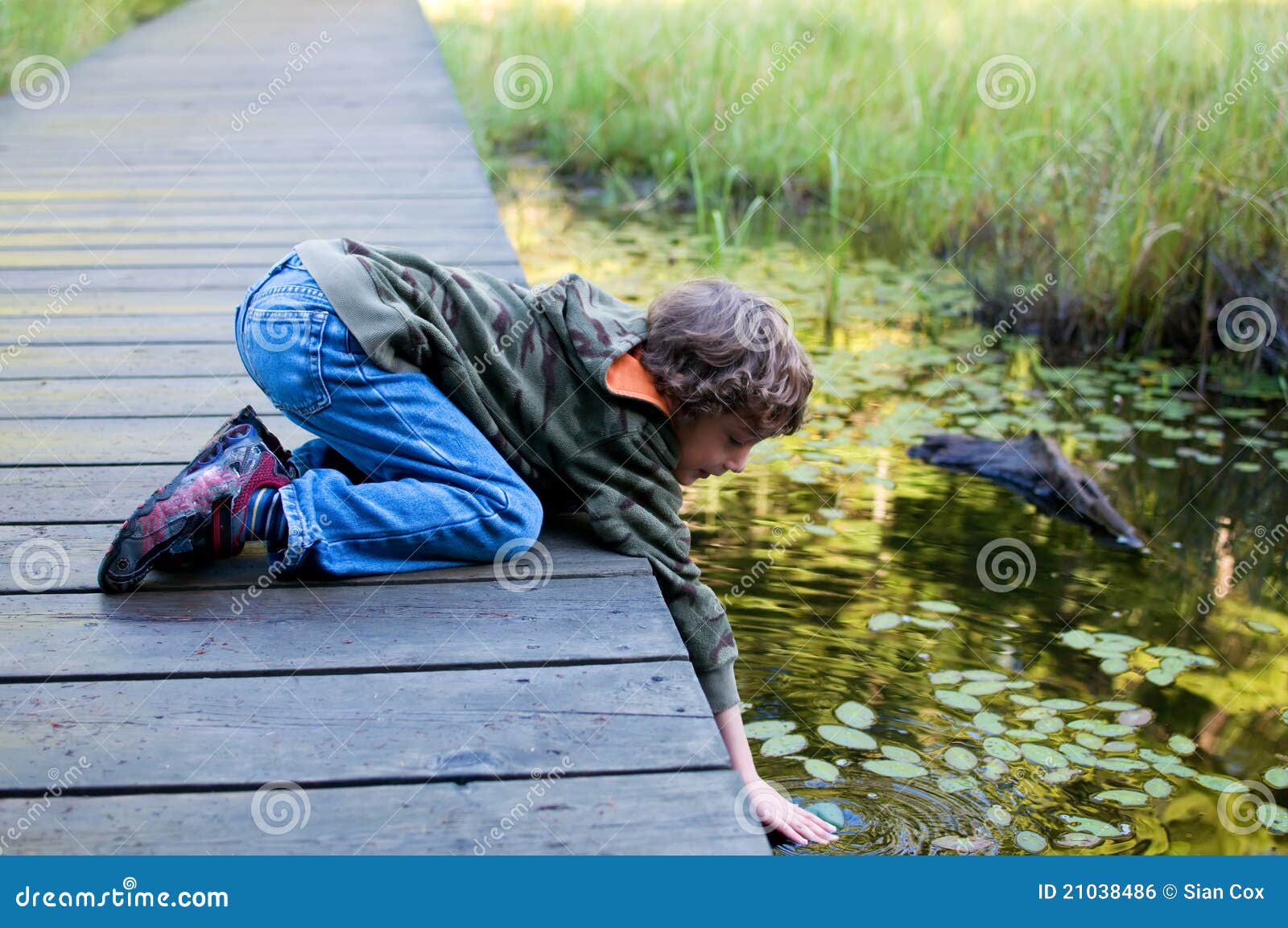Nature study stock photo. Image of curious, park, marsh - 21038486