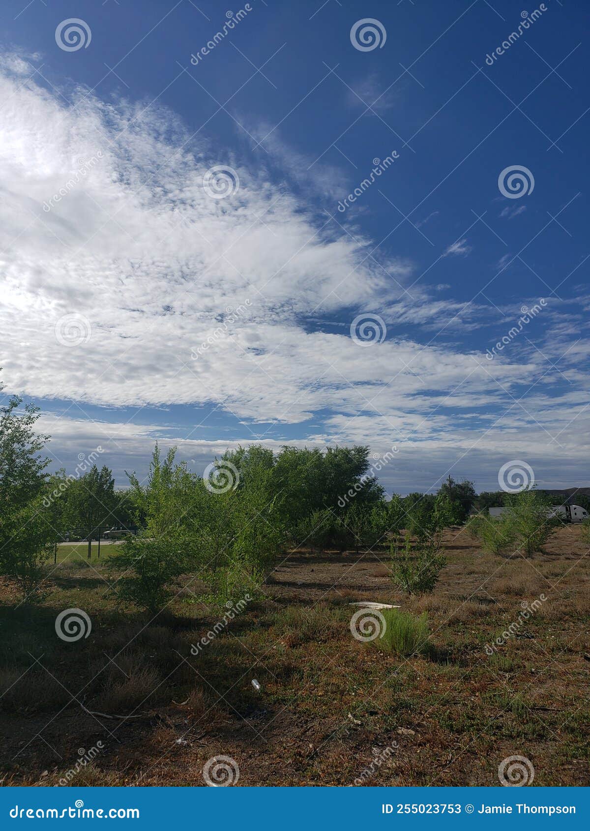 The brighter side stock image. Image of reflection, sunlight - 255023753