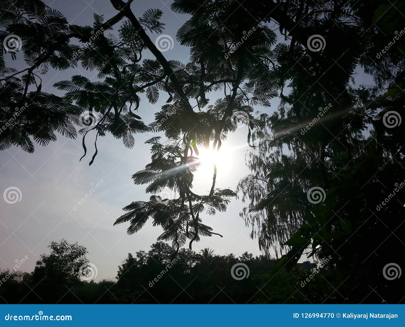 Nature stock photo. Image of reflects, beautifully, daylight - 126994770