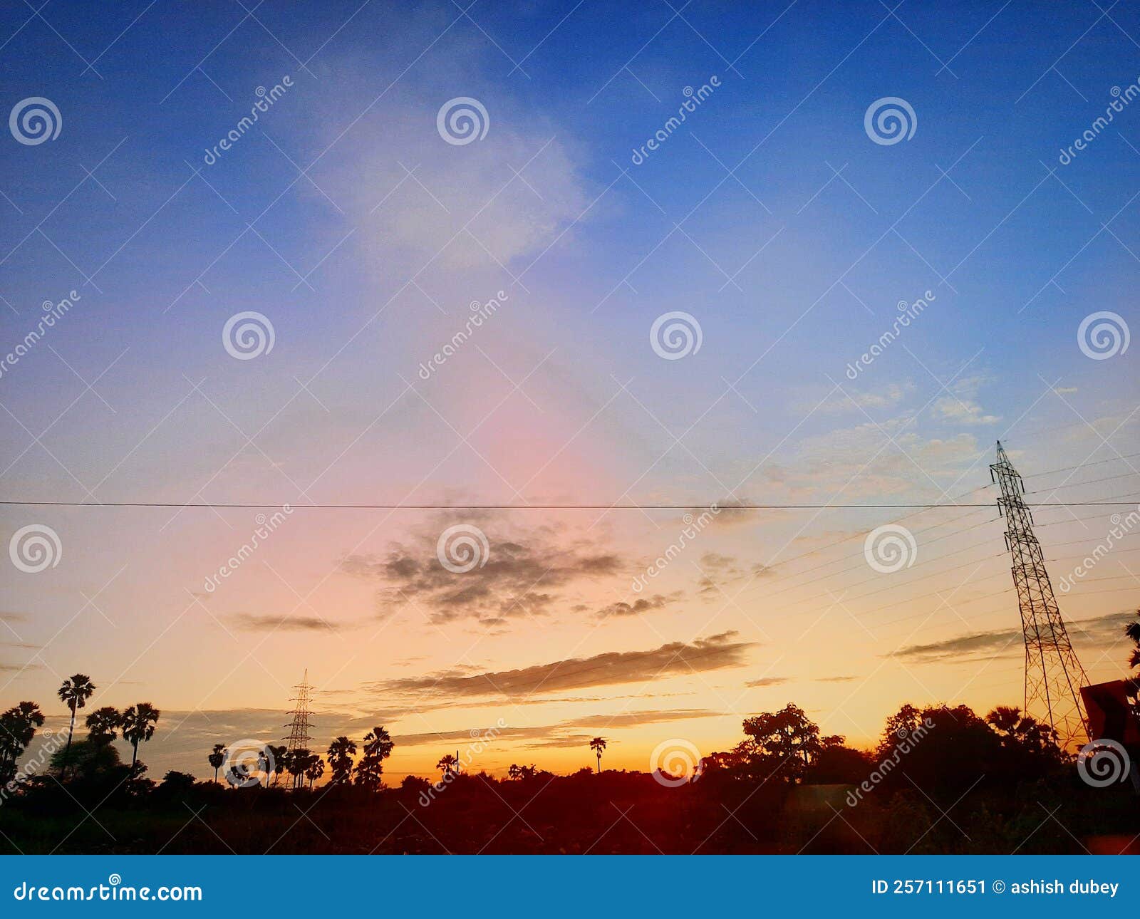 NATURE SUN TREE GRASS CLOUD Stock Image - Image of grass, nature: 257111651