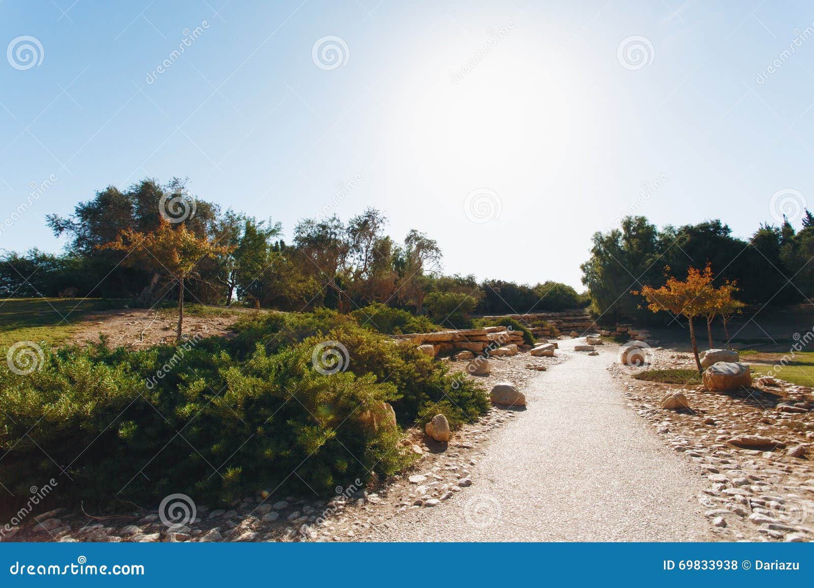 Nature Sunny Park with Road Stock Photo - Image of country, national ...