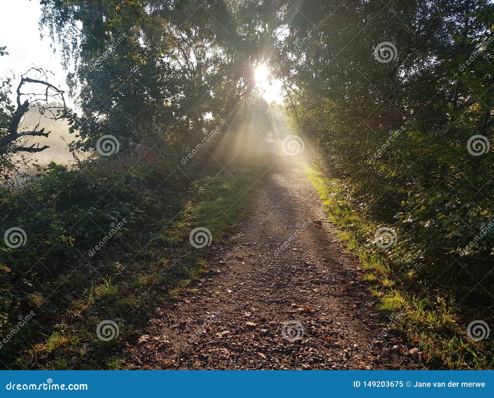 Nature Sunrise Morning Walk Peaceful Stock Image - Image of nature ...