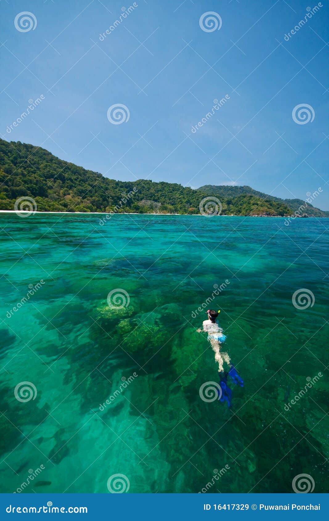 Nature Swimming Pool stock image. Image of beauty, national - 16417329