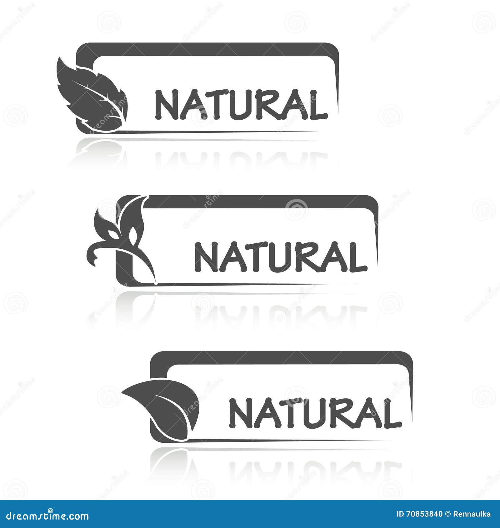 Nature Symbols with Leaf, Rectangle Natural Icons Stock Illustration ...
