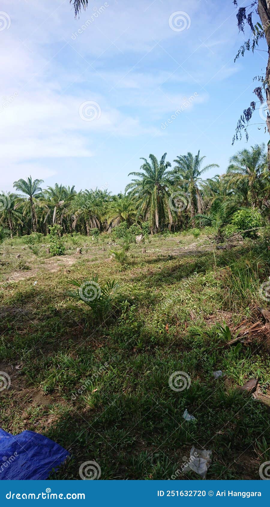 Nature Taken Over Its Function Stock Photo - Image of natu, function ...