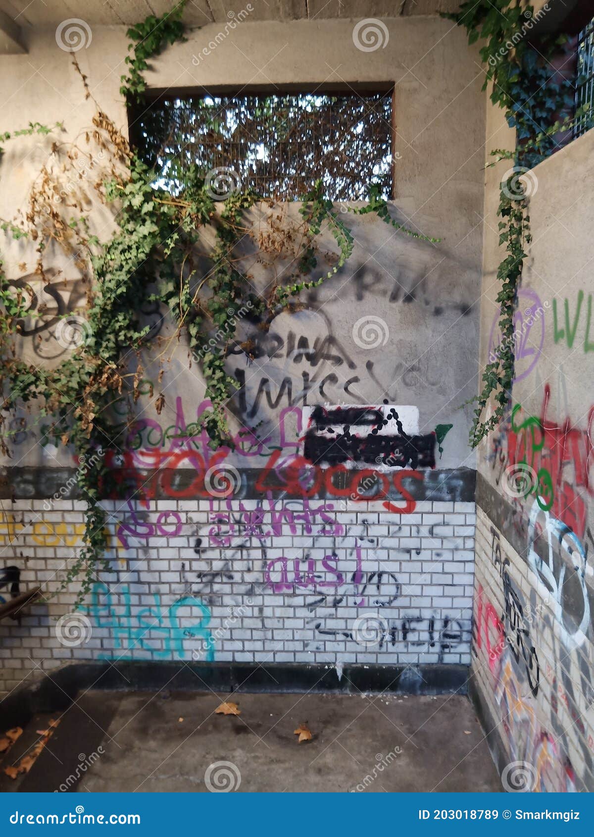 Nature Taking Back Building Stock Image - Image of building, back ...