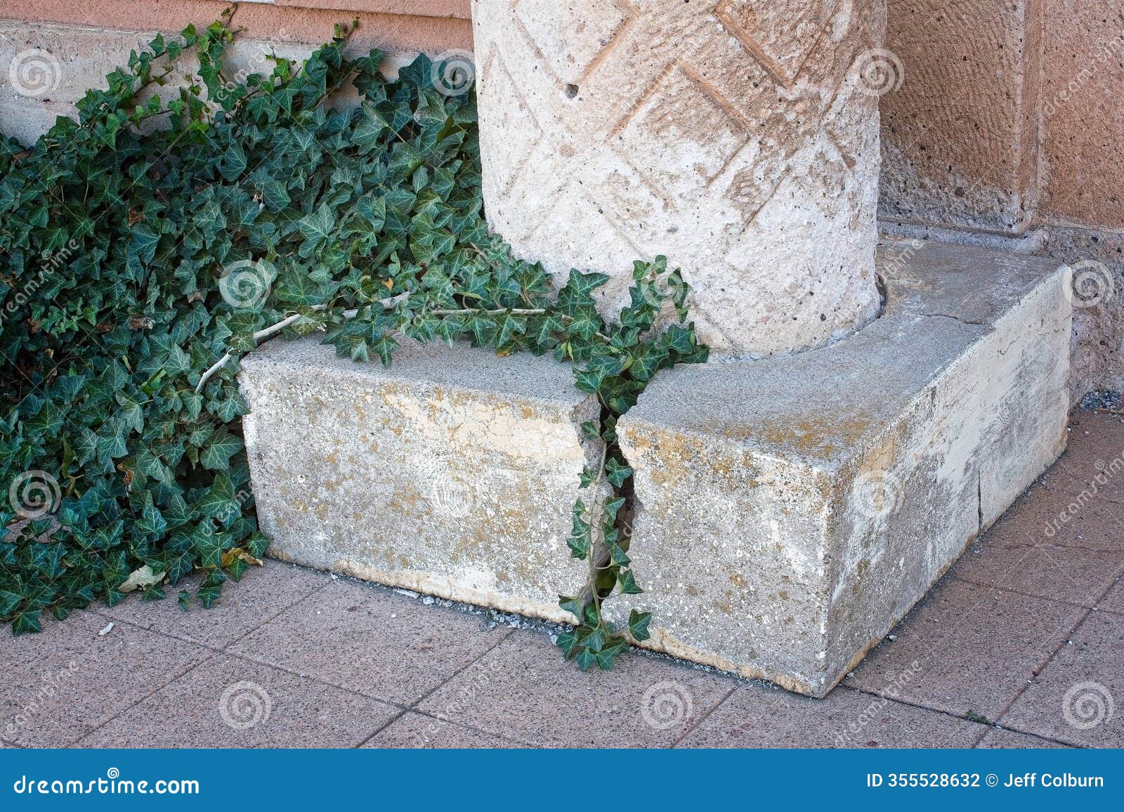 Nature Taking Back What Man Has Built by Cracking a Foundation on a ...