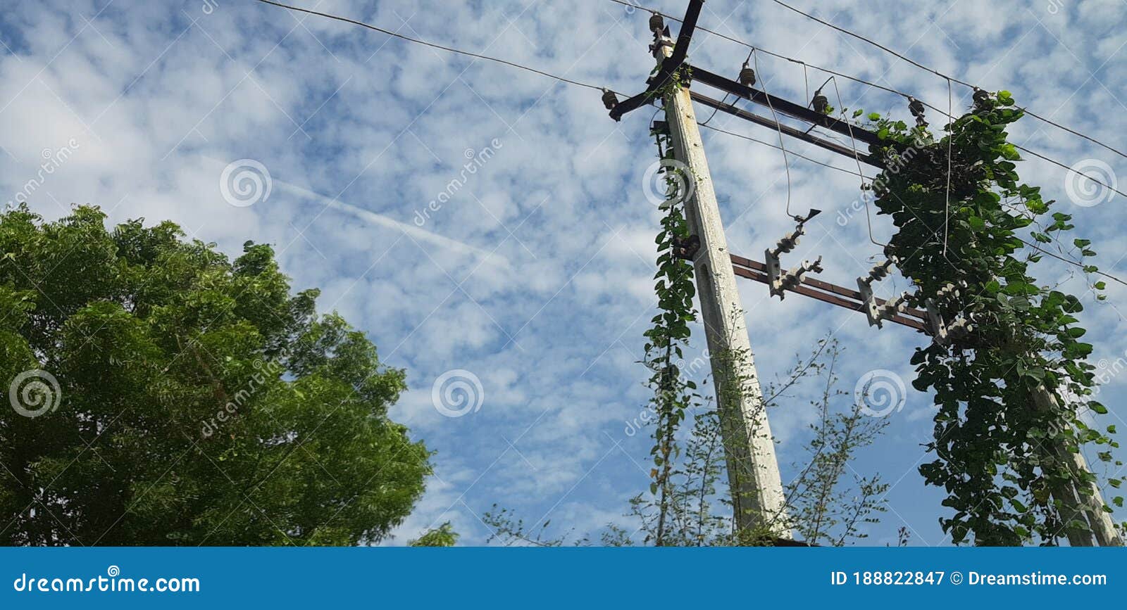 Nature Taking Over Everything Stock Image - Image of humans, taking ...