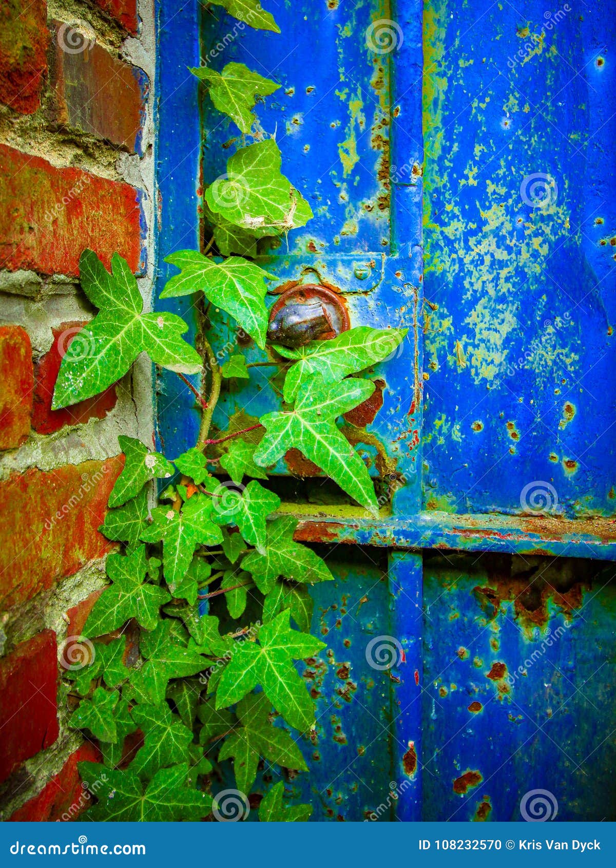 Nature taking over stock photo. Image of blue, perspective - 108232570