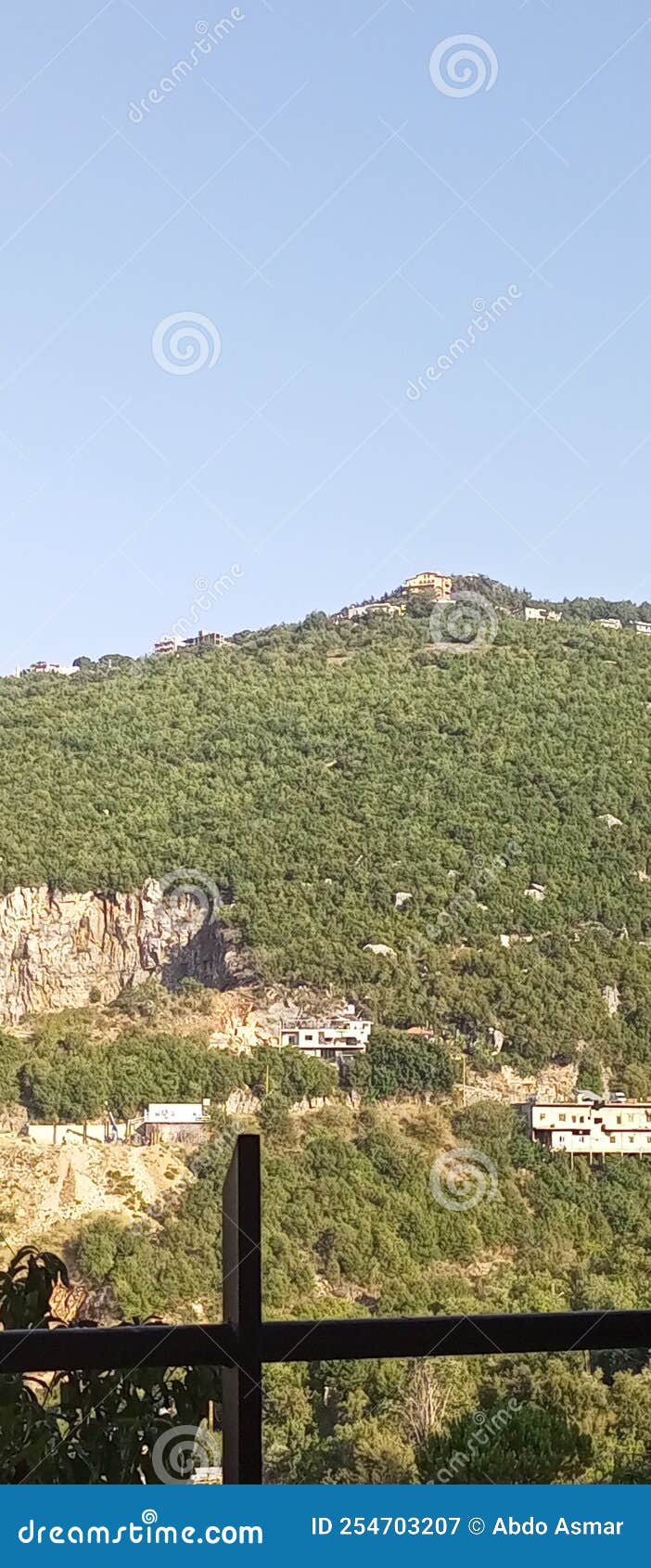 When Nature Talk with Silent Language Stock Image - Image of language ...