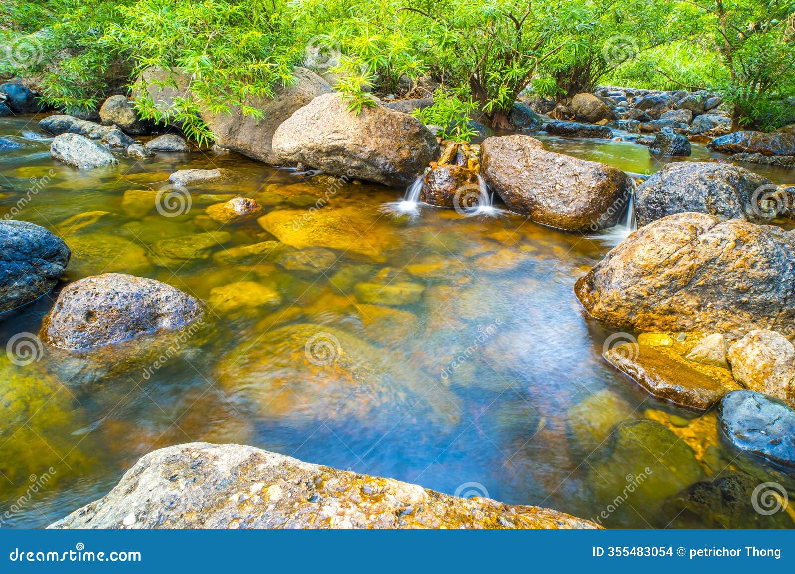 Nature Tapestry Shallow Stream Weaving through the Forest Delight Stock ...