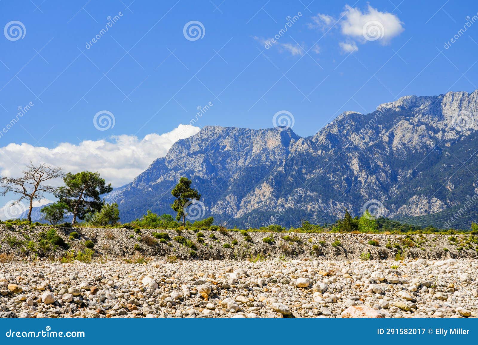 Nature with the Taurus Mountains in the Background. Stock Image - Image ...