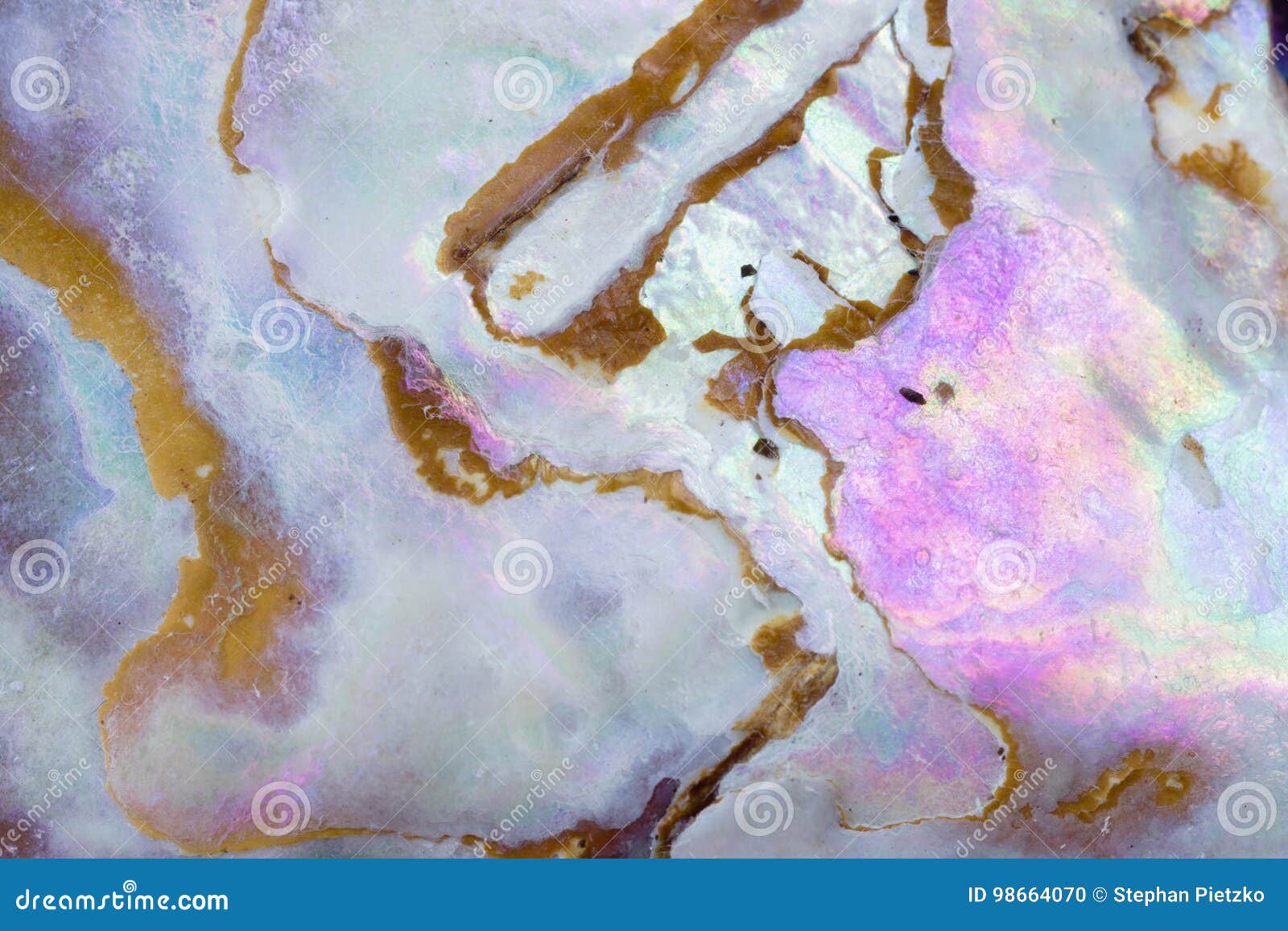 Shiny Nacre of Paua or Abalone Shell Background Stock Photo - Image of ...