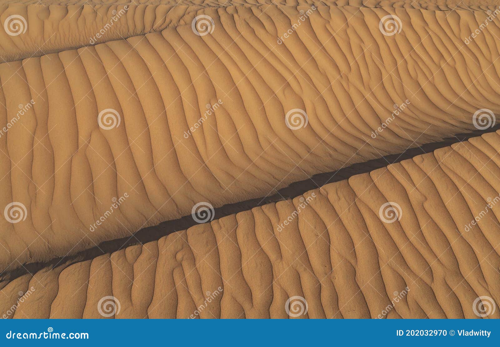 Sand Surface Texture Abstract Background with Empty Space Stock Photo ...