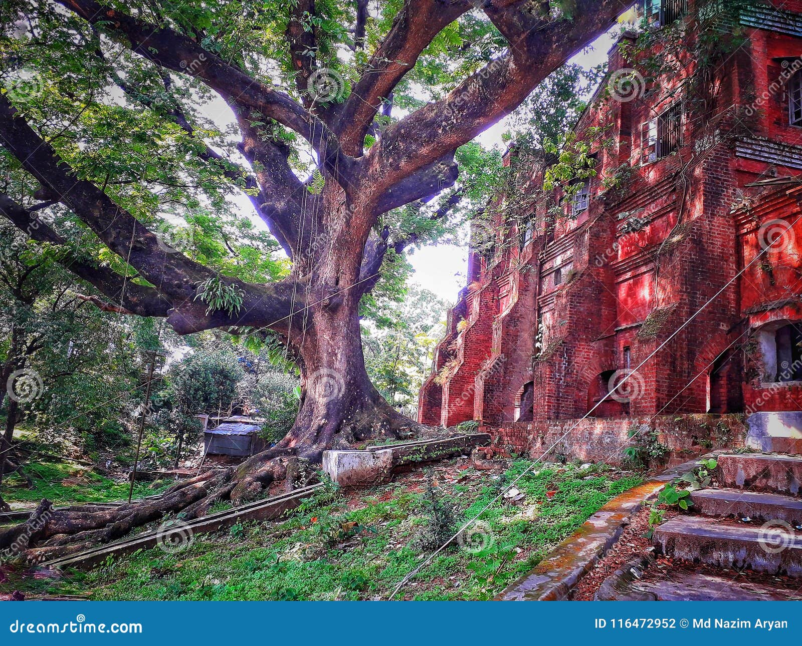 Nature touched photography stock photo. Image of mobile - 116472952