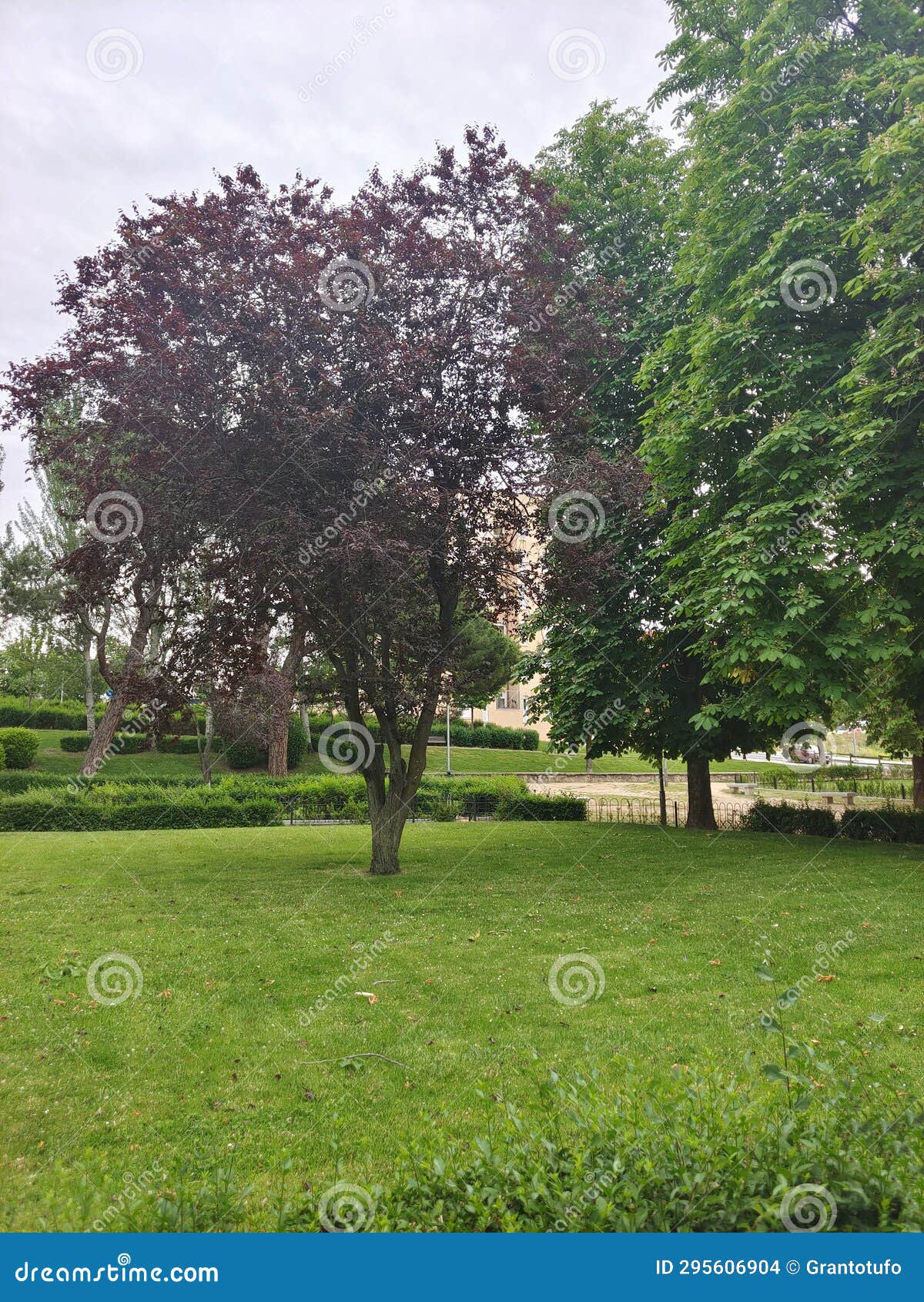Nature of town stock photo. Image of beautiful, background - 295606904