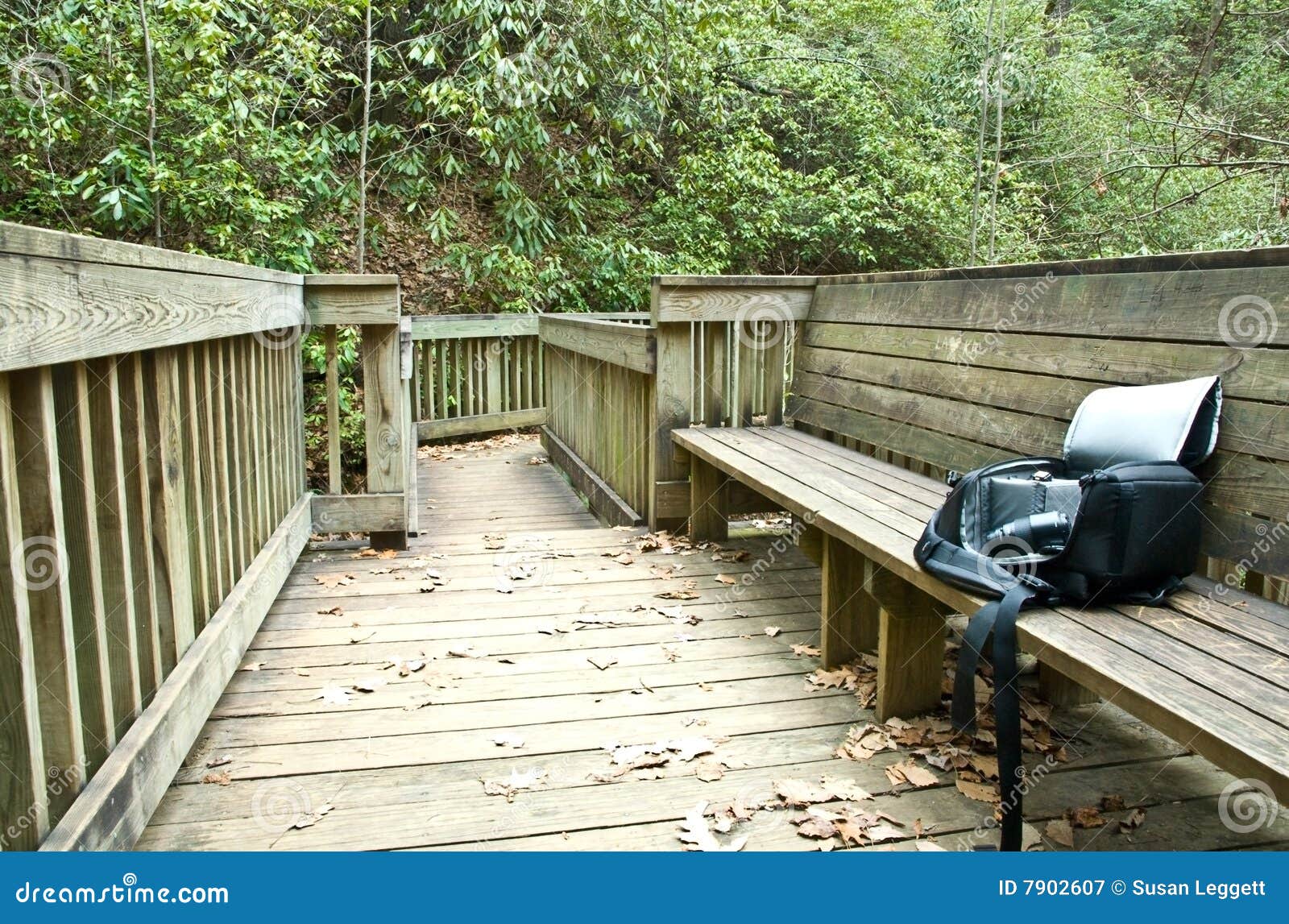 Nature Trail/Bench/Camera stock image. Image of equipment - 7902607