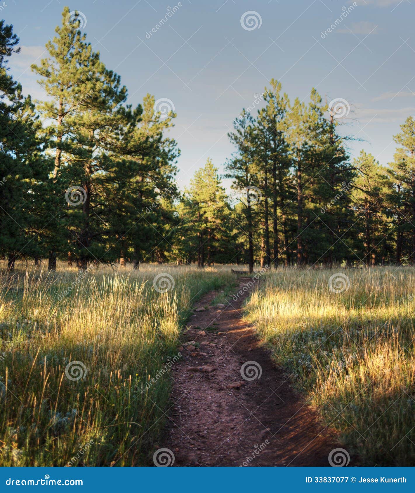 Nature Trail in Boulder, Colorado Stock Image - Image of path, colorado ...