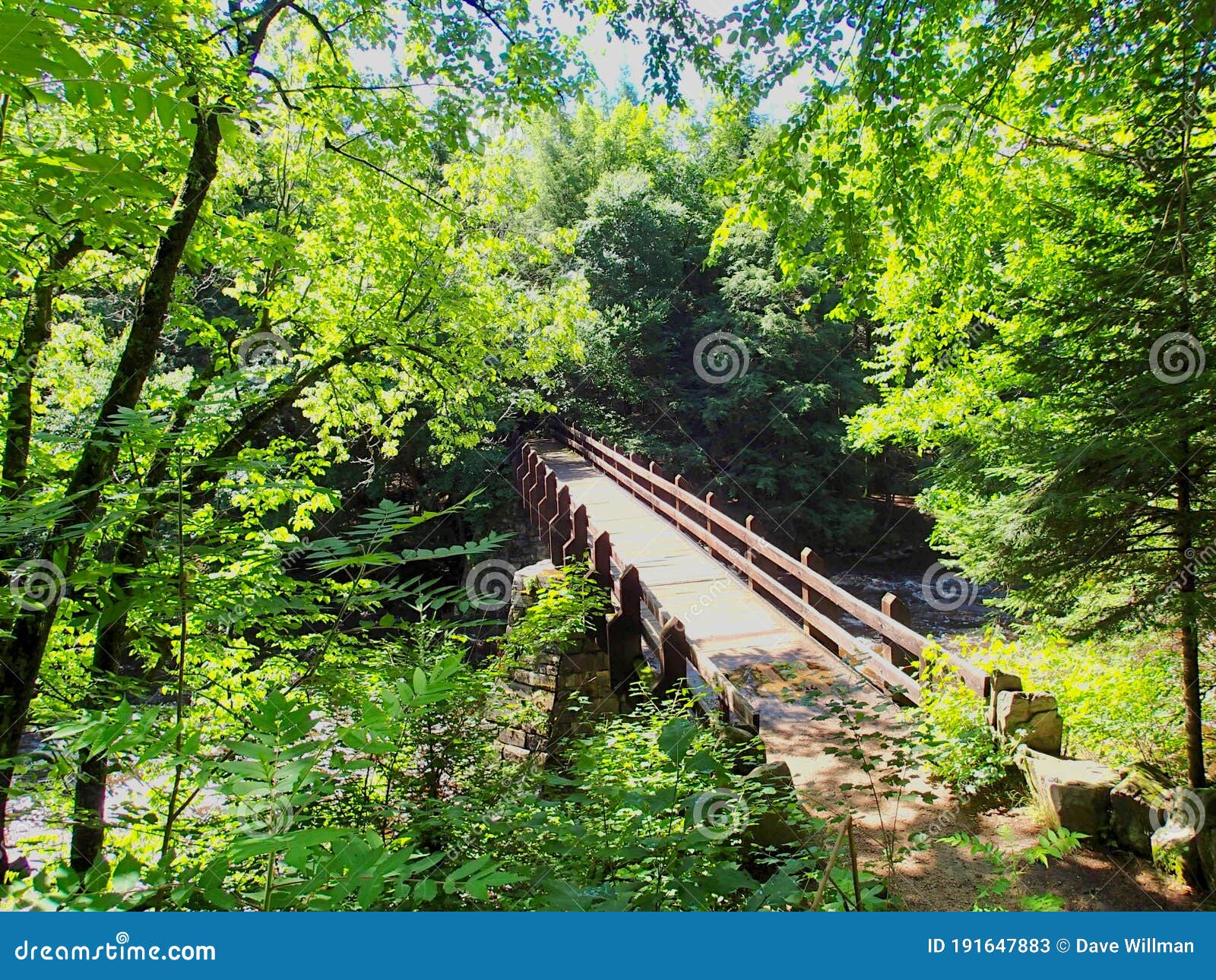 Nature Trail Bridge stock image. Image of woods, trees - 191647883