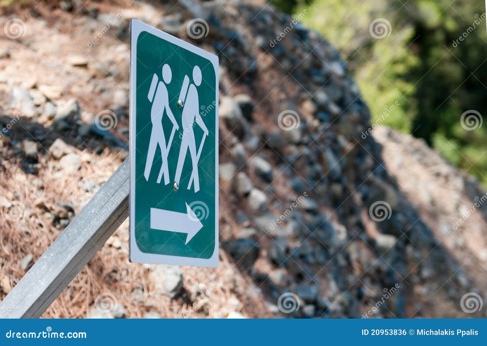 Nature Trail Footpath Hiking Sign Stock Photo - Image of notice ...