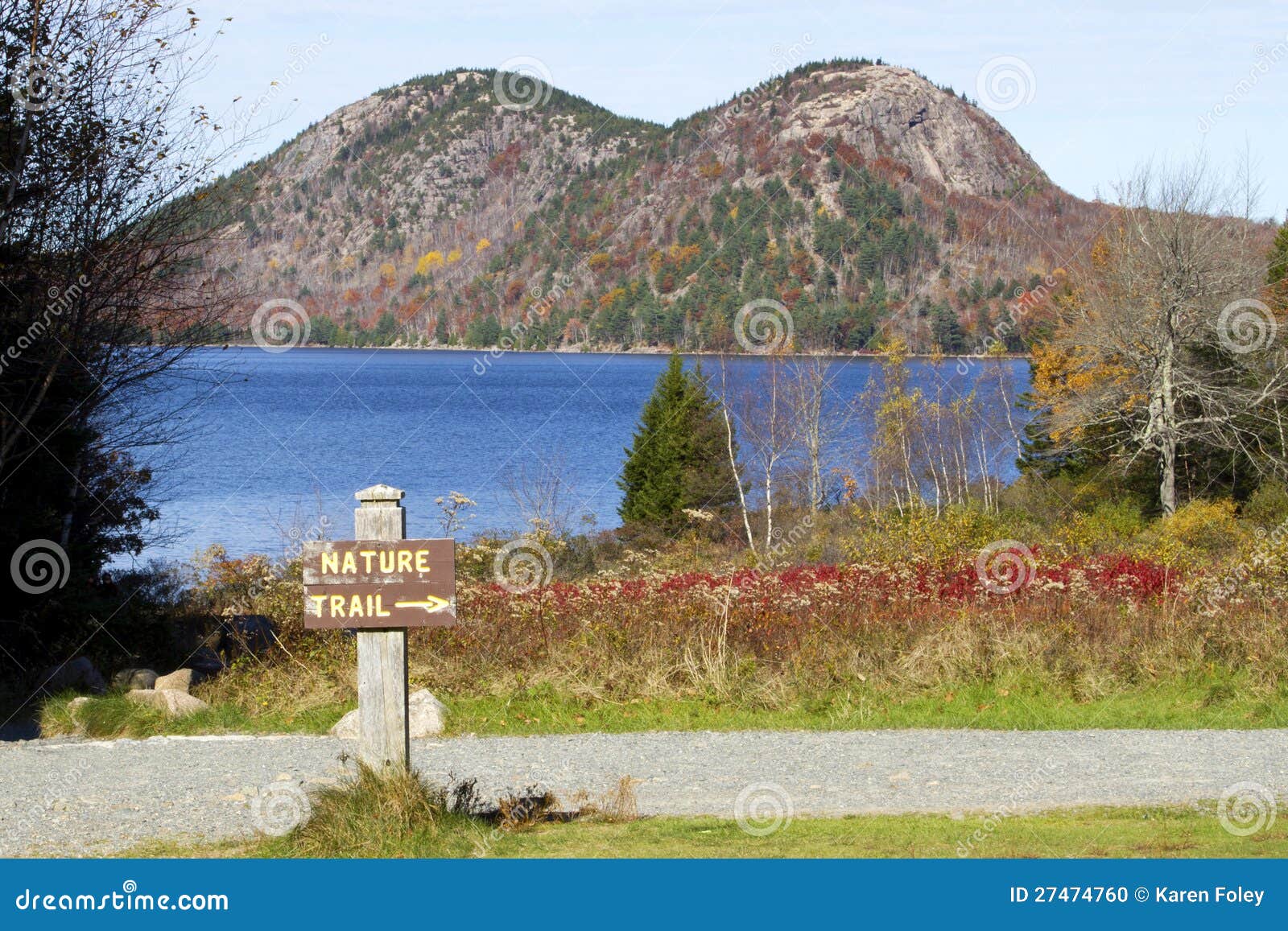 Nature Trail at Jordan Pond Stock Photo - Image of jordan, color: 27474760
