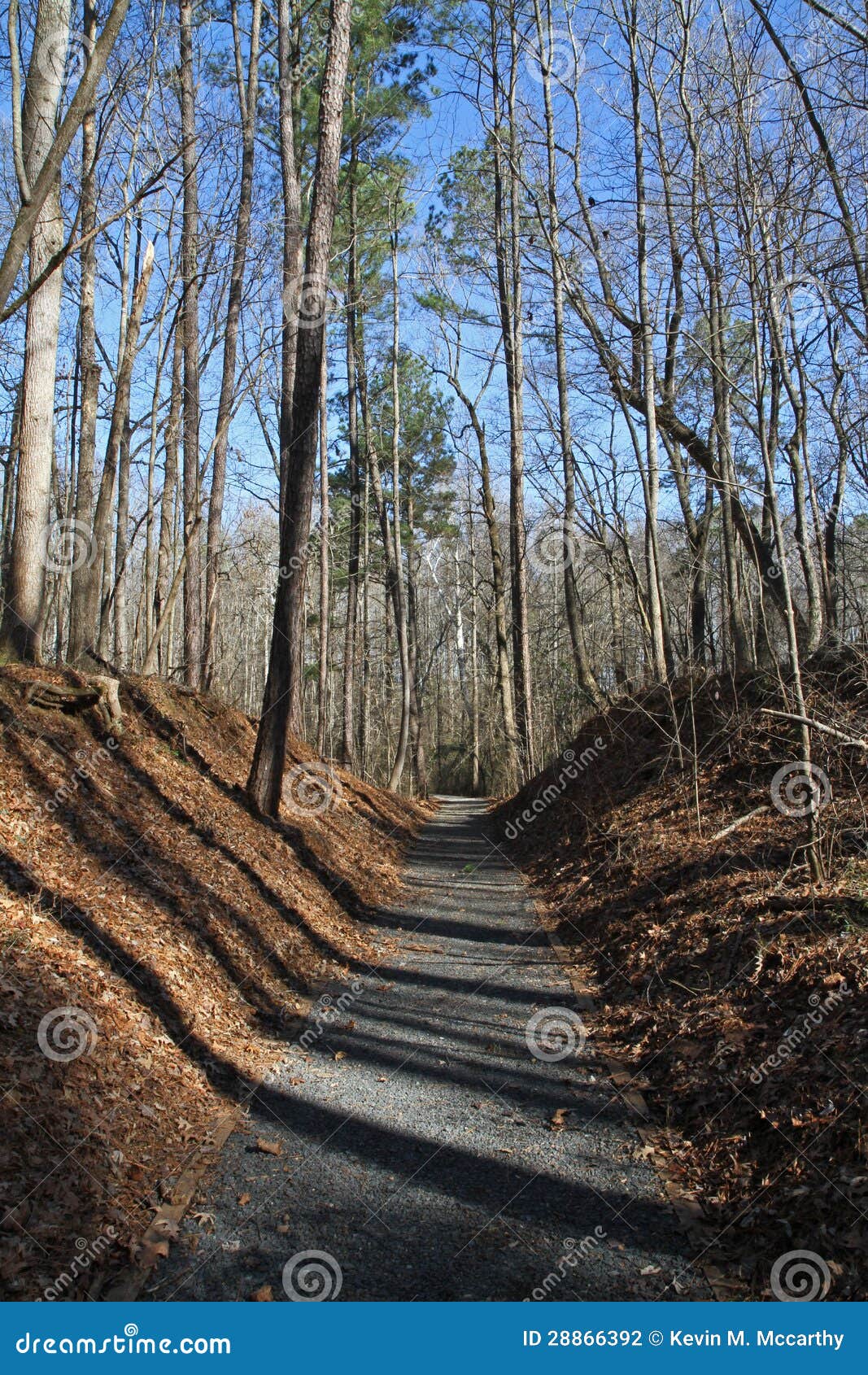 Nature Trail with Long Shadows Stock Photo - Image of solitary, hilly ...