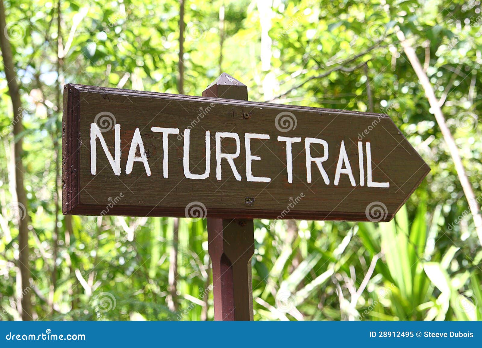 Nature Trail panel stock image. Image of nature, panel - 28912495