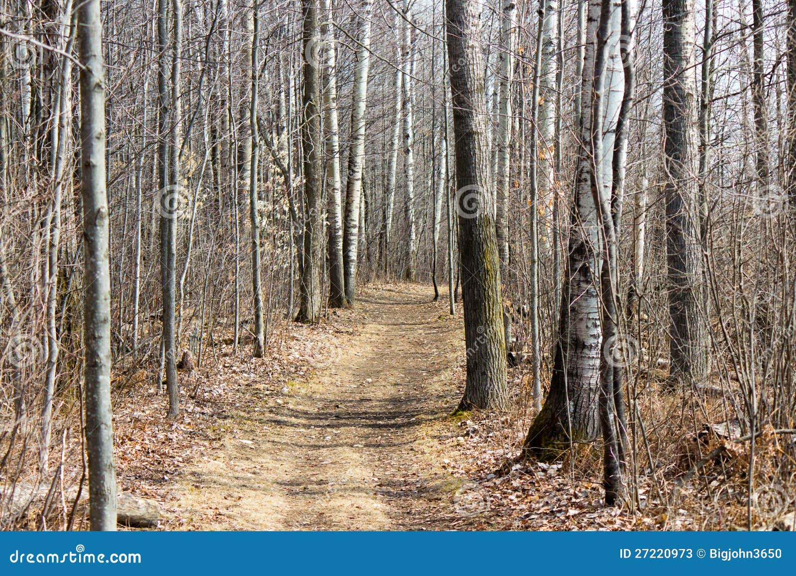 Nature trail in the park stock image. Image of trail - 27220973