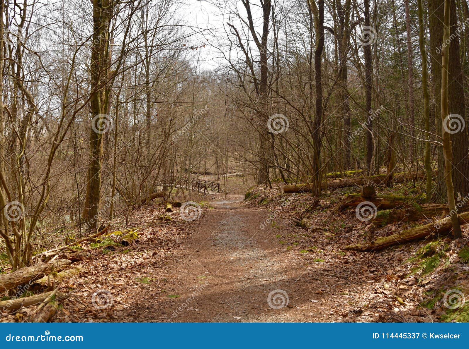 A Nature Trail Passing through a Forest in Early Spring. Stock Image ...