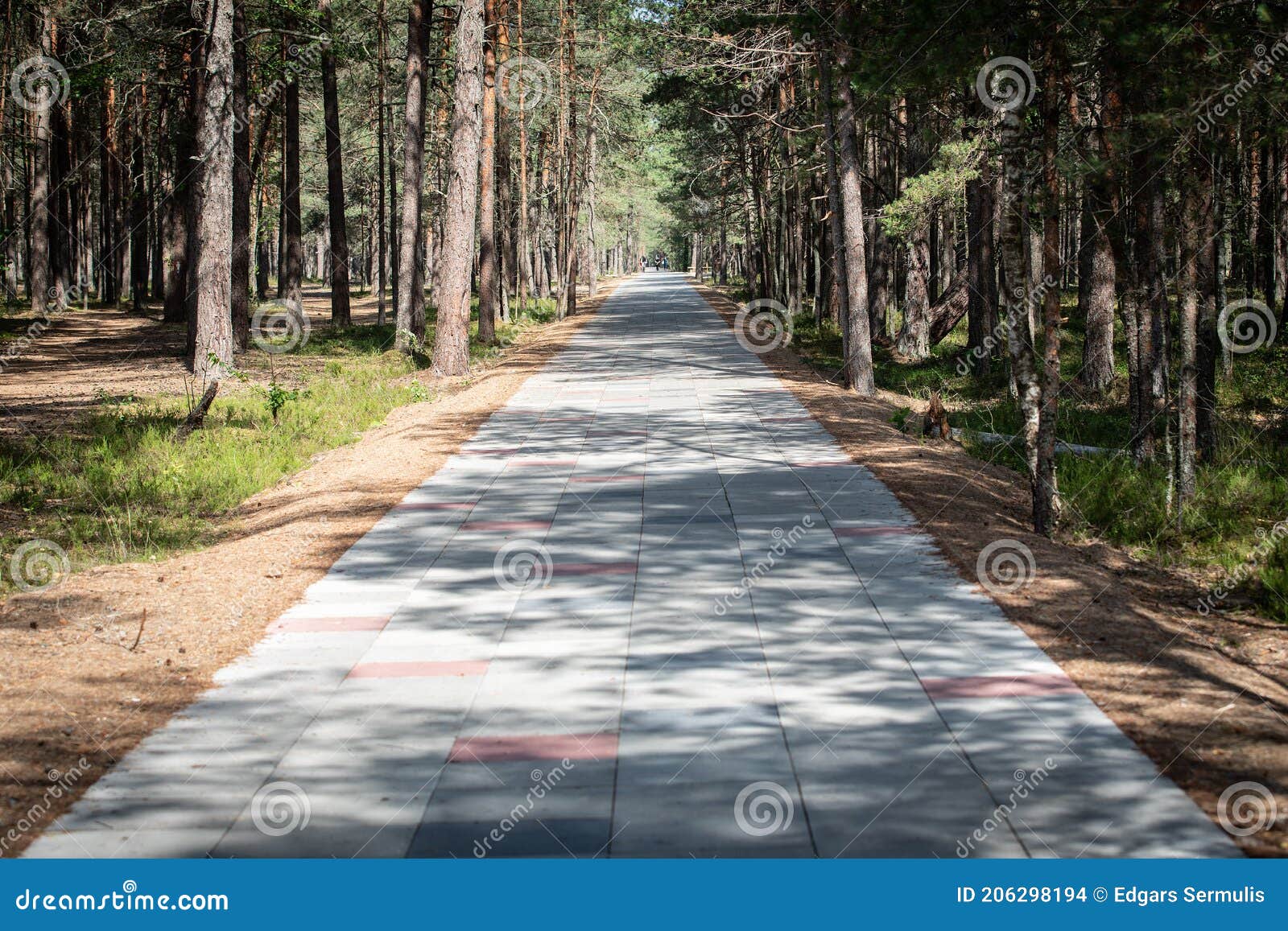 Nature Trail. Paved Walkway in the Woods Stock Photo - Image of gray ...