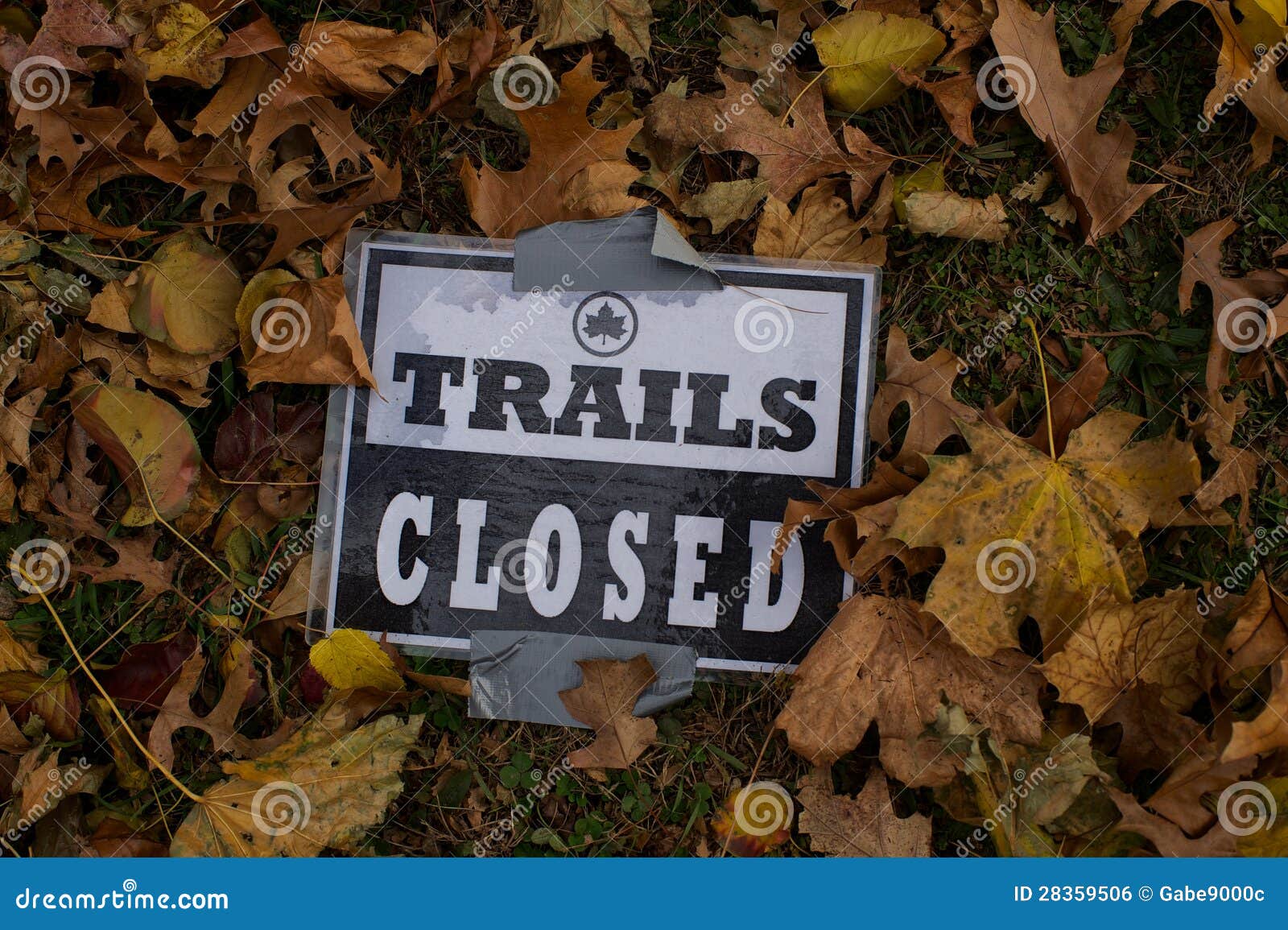 Nature trail sign stock photo. Image of trail, backgrounds - 28359506