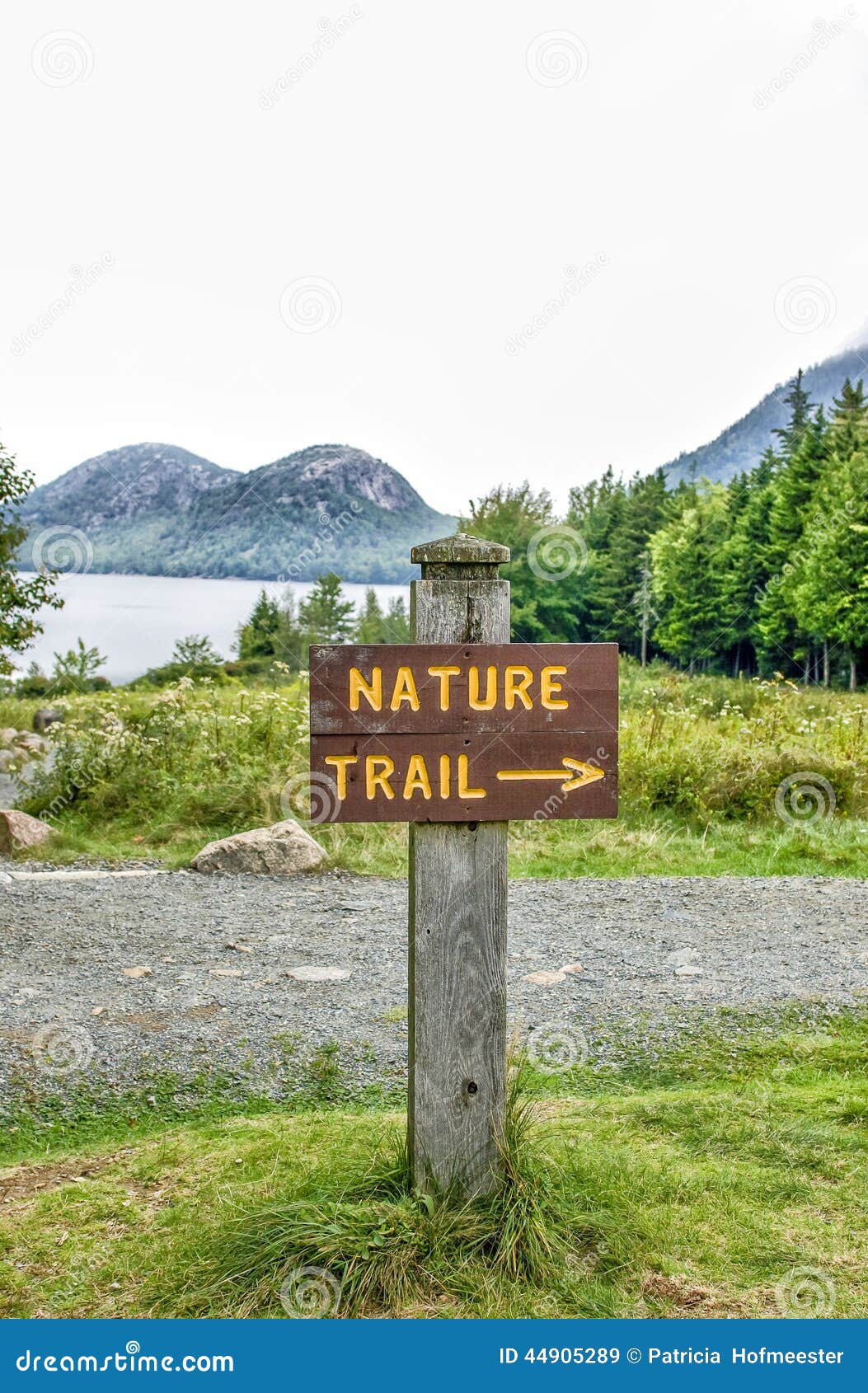 Nature trail sign stock image. Image of directional, wood - 44905289