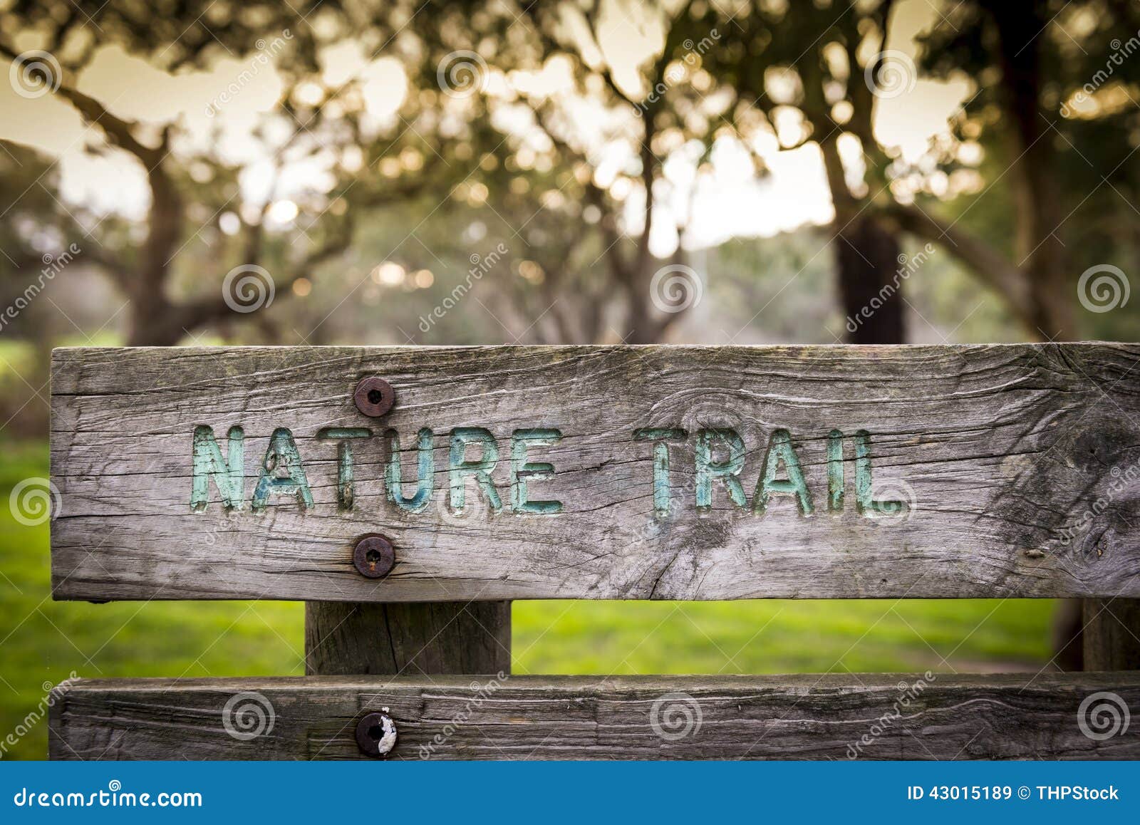 Nature Trail Sign stock image. Image of remote, recreation - 43015189