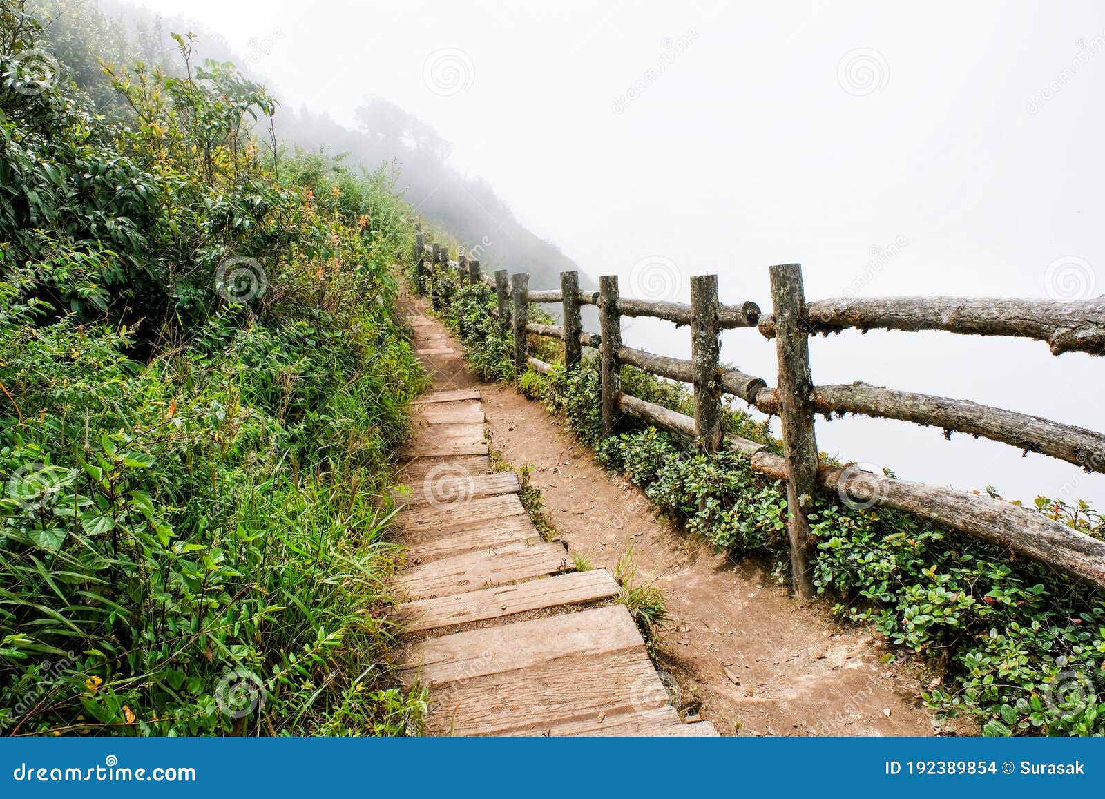 A Detail of and Close Up Nature Trail Walk Way Stock Photo - Image of ...