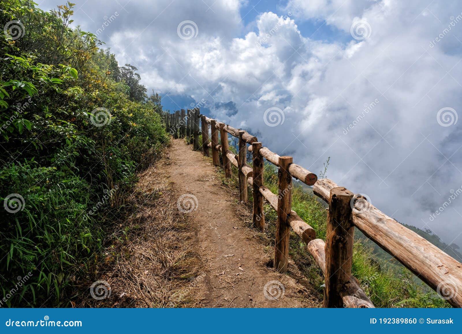 A Detail of and Close Up Nature Trail Walk Way Stock Photo - Image of ...