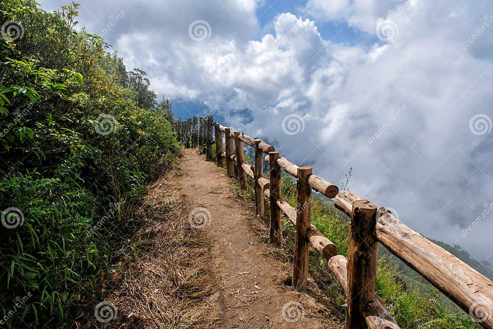A Detail of and Close Up Nature Trail Walk Way Stock Photo - Image of ...