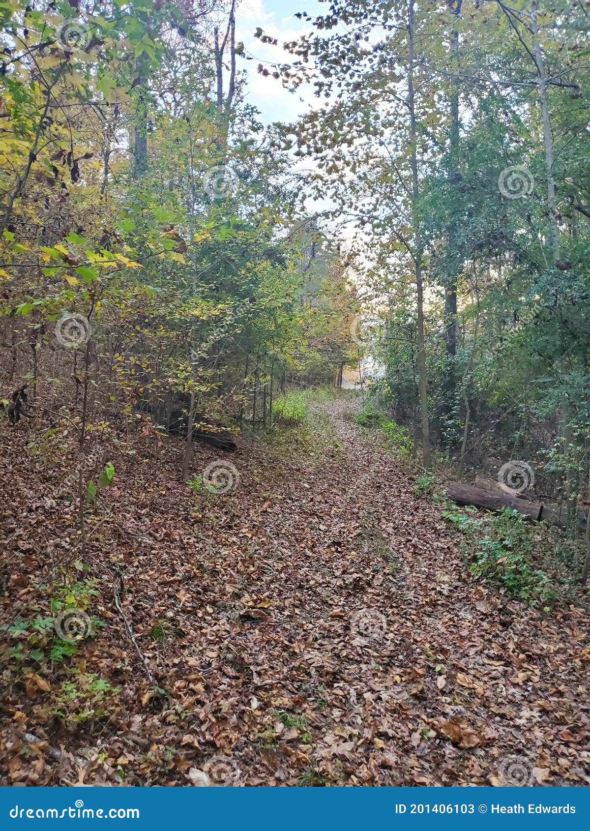 Nature trail walkway stock image. Image of trail, scenic - 201406103