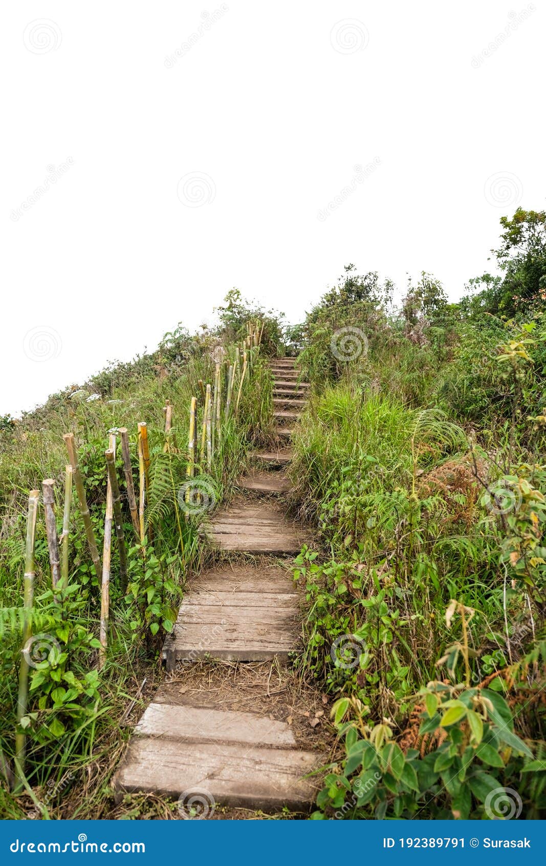 A Detail of and Close Up Nature Trail Walk Way Stock Image - Image of ...