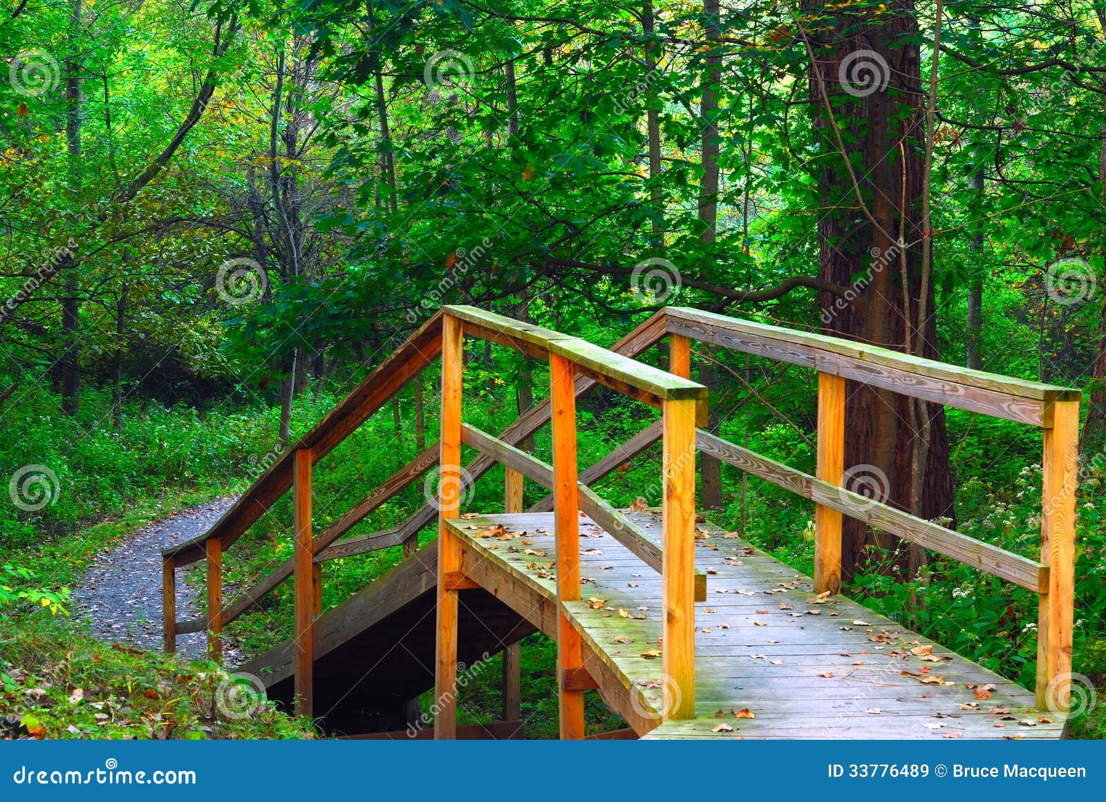Nature Trail Royalty-Free Stock Photography | CartoonDealer.com #33776489